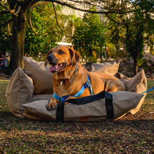 Bolsa para Transporte – PACCO | Estilo e Conforto para Seu Pet