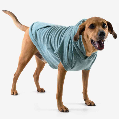 Roupa para Cachorro Blusão Sampa Verde – PACCO | Estilo e Conforto para Seu Pet